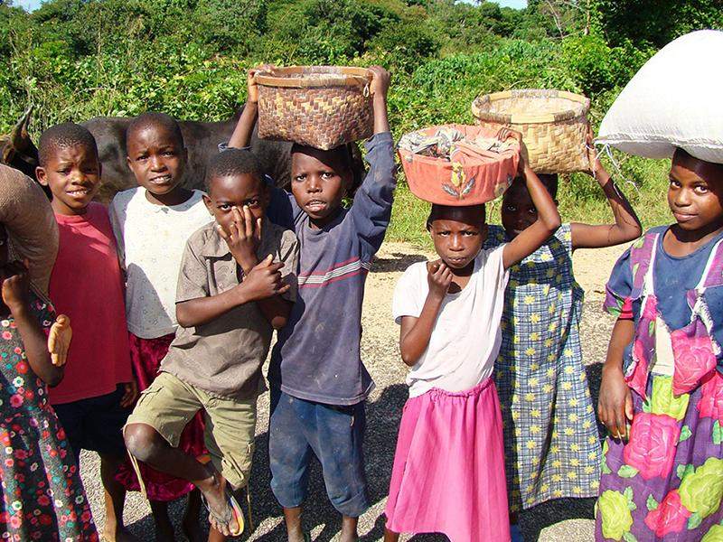 portfolio-5 – Dan Beard Council, Scouting America